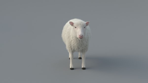 Sheep 3D Models for Download | TurboSquid