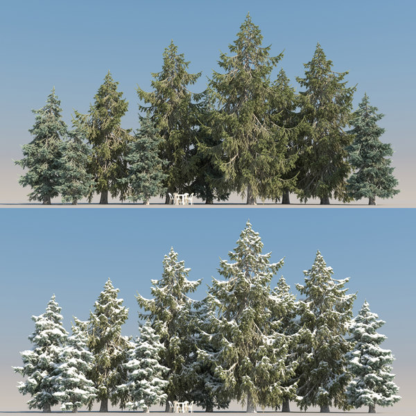Pine Tree 3D Models for Download | TurboSquid