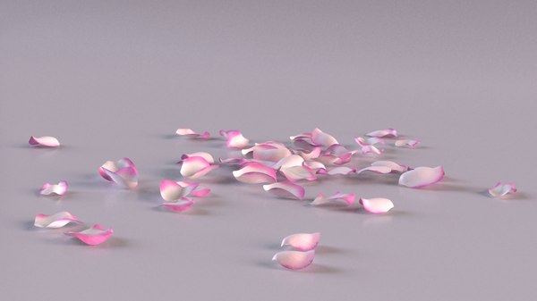 3D Petals Models | TurboSquid