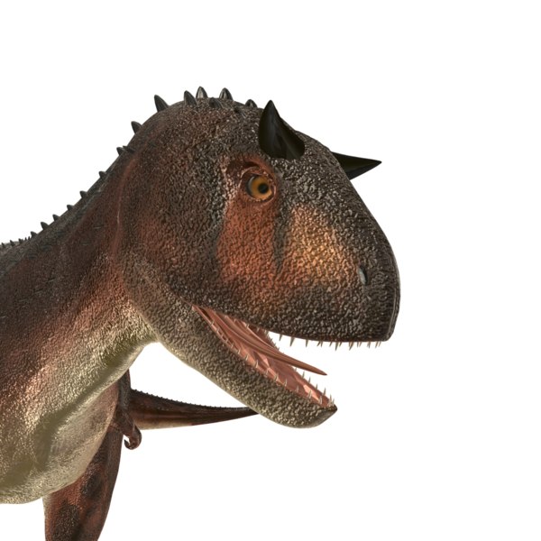 Carnotaurus sastrei 3D model - TurboSquid 1569231
