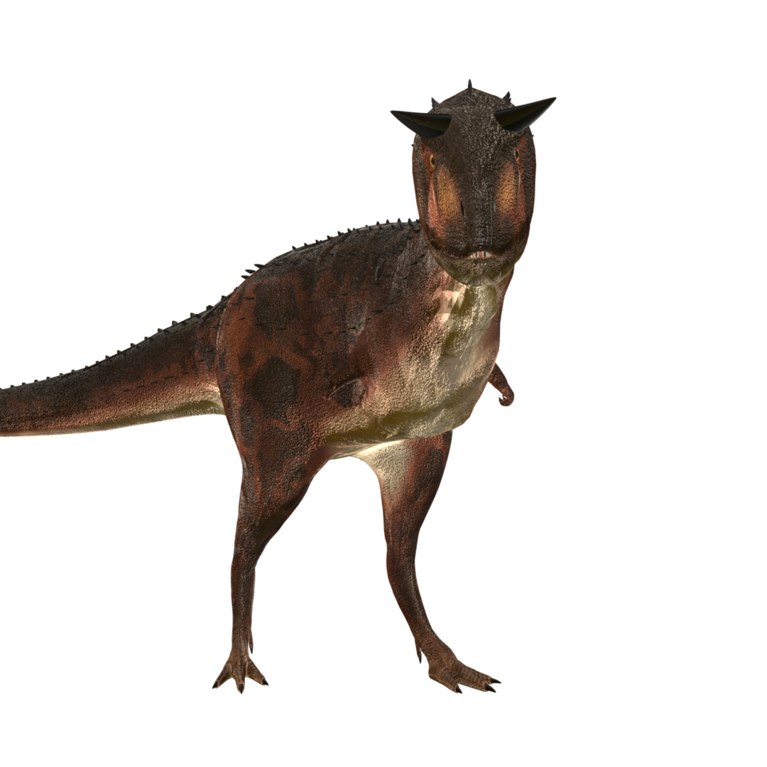 Carnotaurus Sastrei 3d Model Turbosquid 1569231