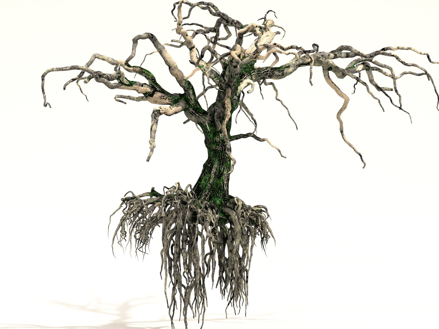 Old tree 3D model - TurboSquid 1591940
