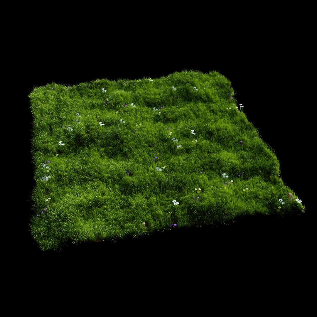 Grass 3D model - TurboSquid 1578257