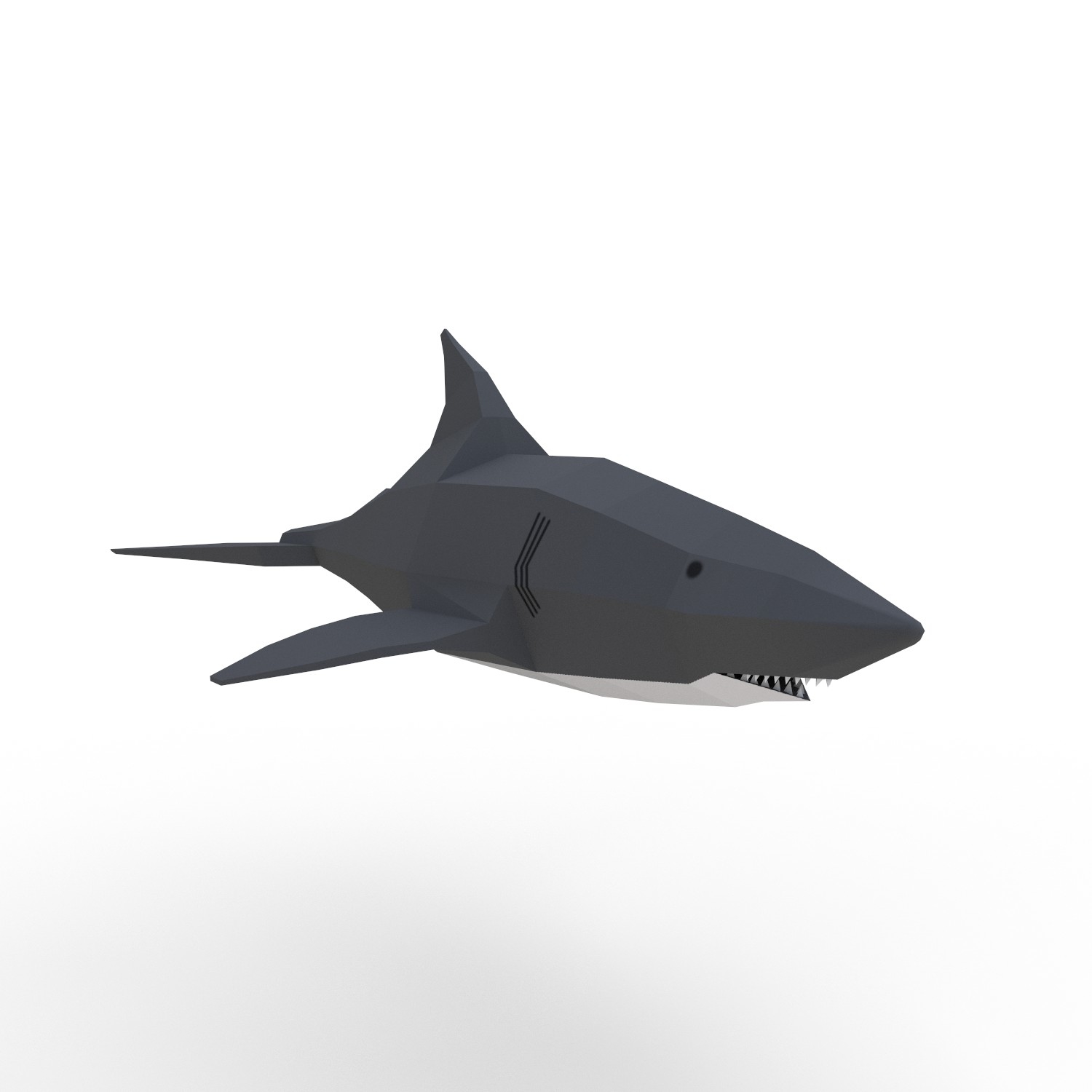 Shark fish animals 3D model - TurboSquid 1554833