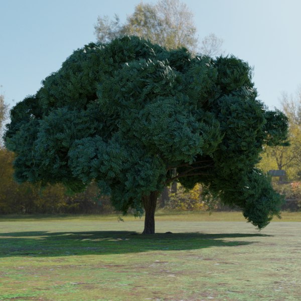 Big tree 3D model - TurboSquid 1593861