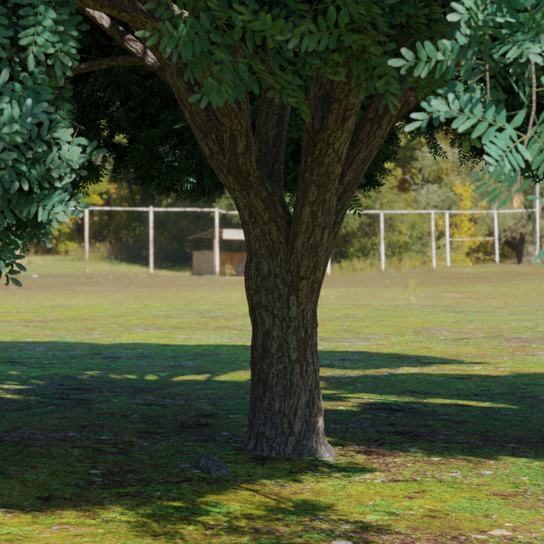 Big tree 3D model - TurboSquid 1593861