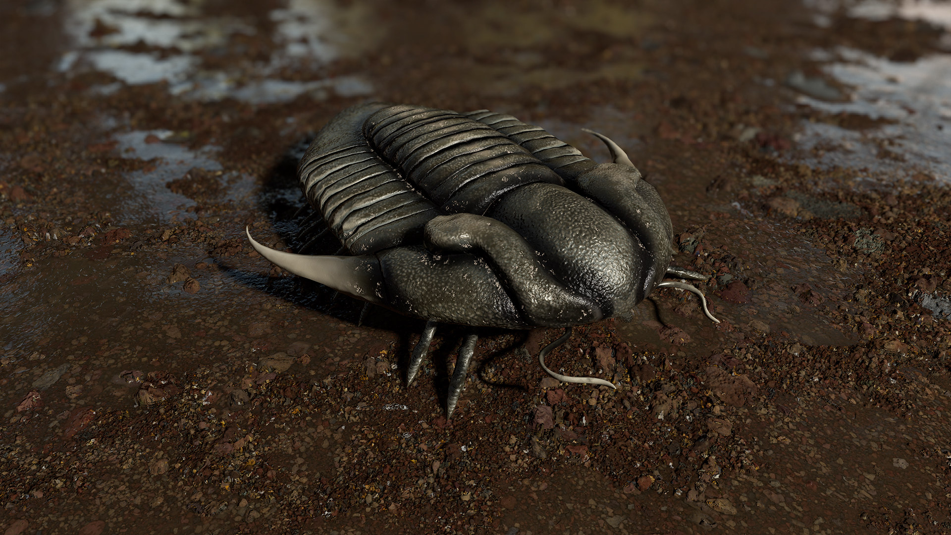 3D reproduction - trilobite illaenus - TurboSquid 1593821