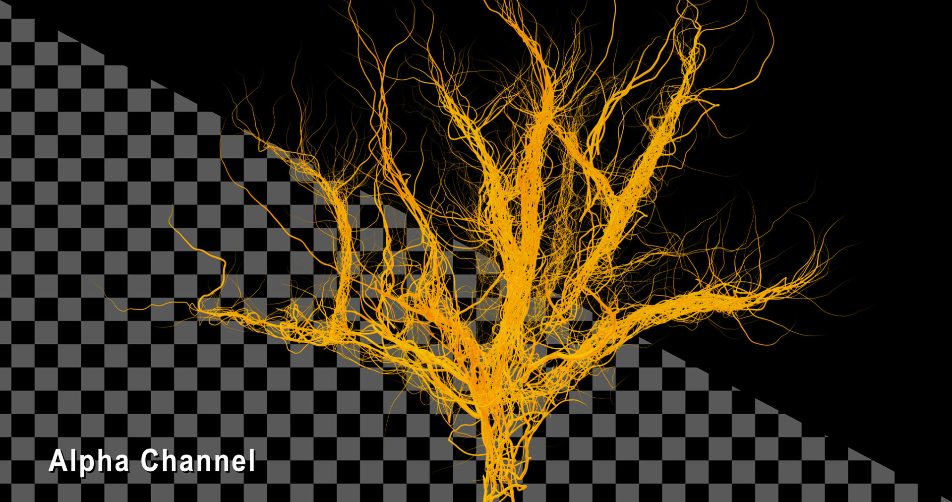 Animation growing tree animated