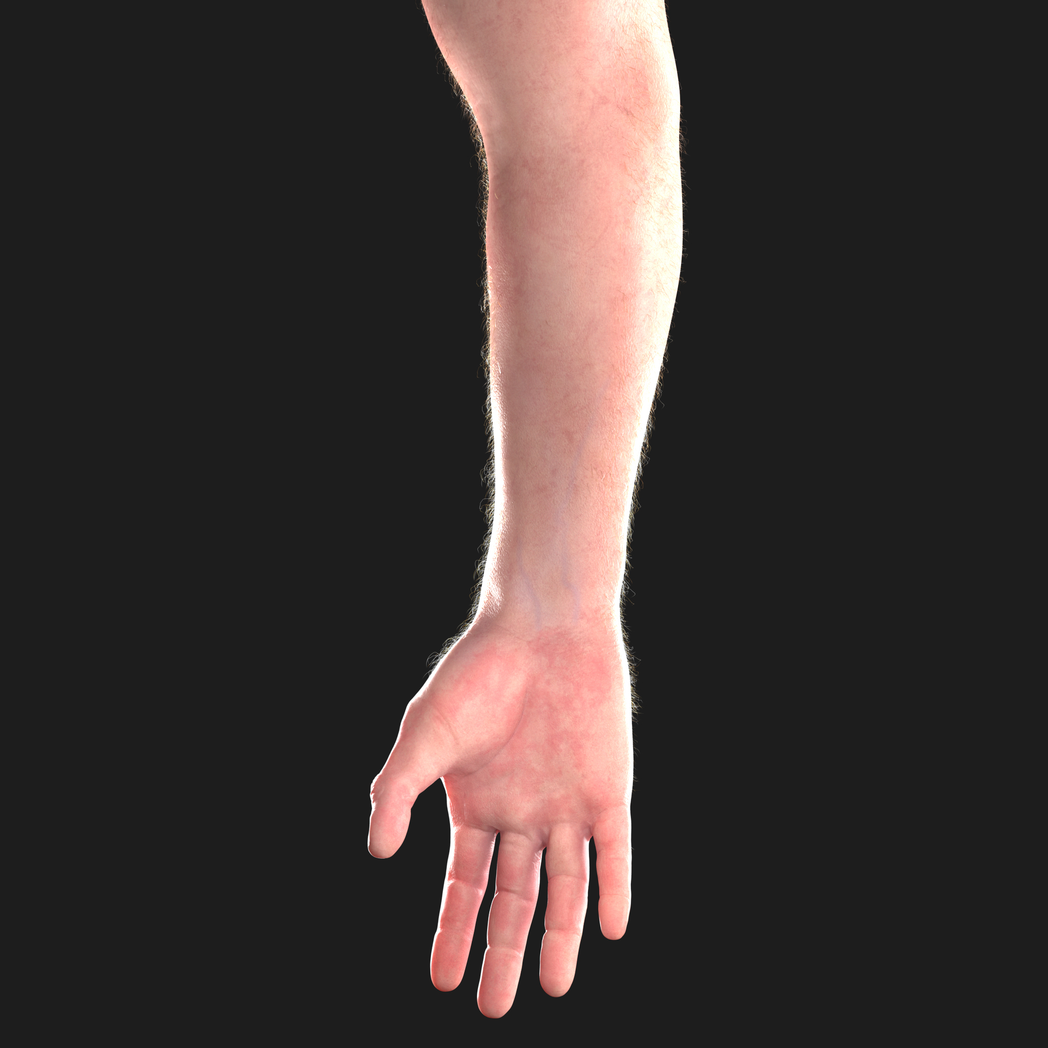 3D model realistic hand - TurboSquid 1594193