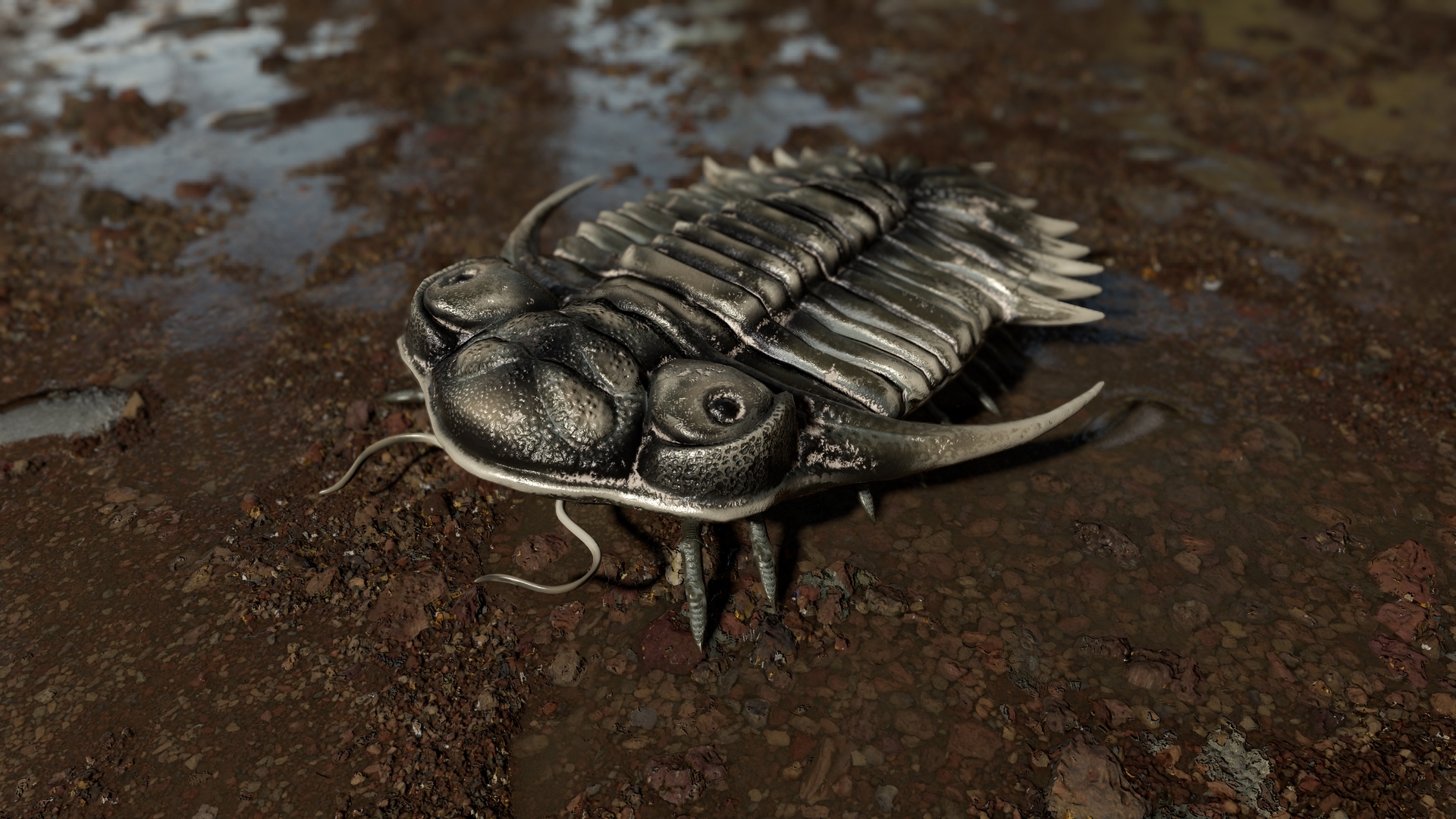 Reproduction - trilobite kayserops 3D model - TurboSquid 1595320