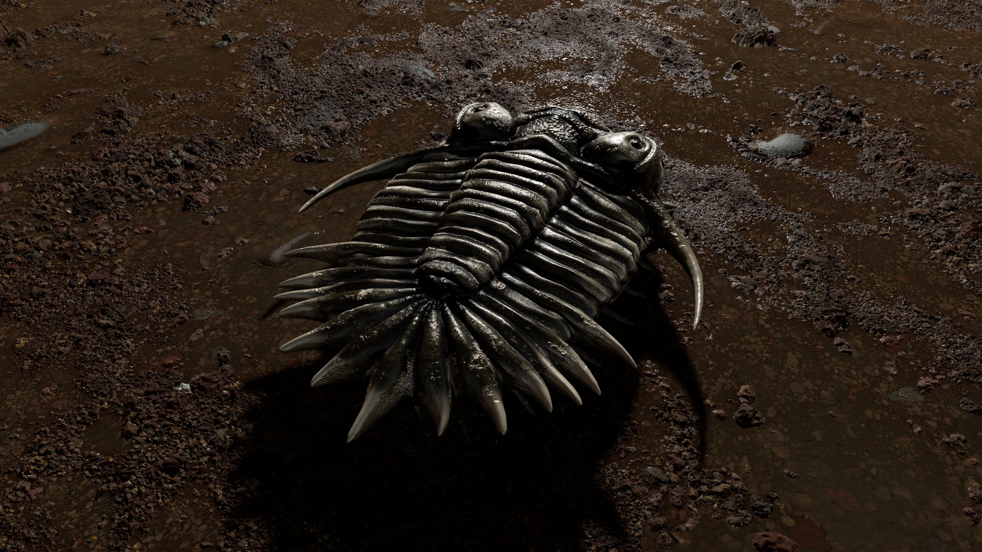 Reproduction - trilobite kayserops 3D model - TurboSquid 1595320