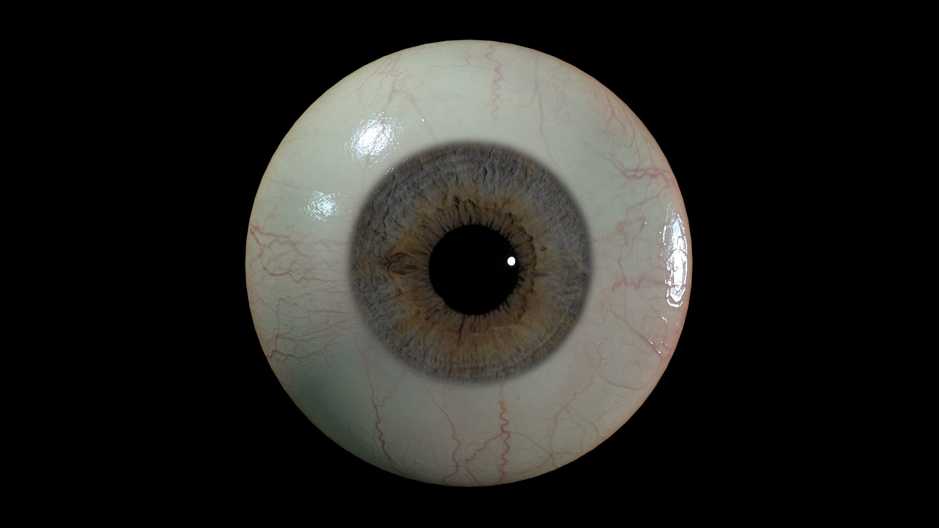 Human eyeball 3D model - TurboSquid 1595558