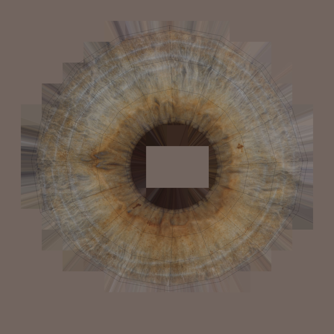 Human eyeball 3D model - TurboSquid 1595558