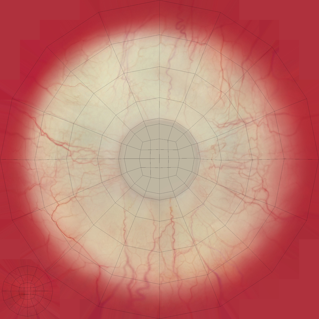 Human eyeball 3D model - TurboSquid 1595558