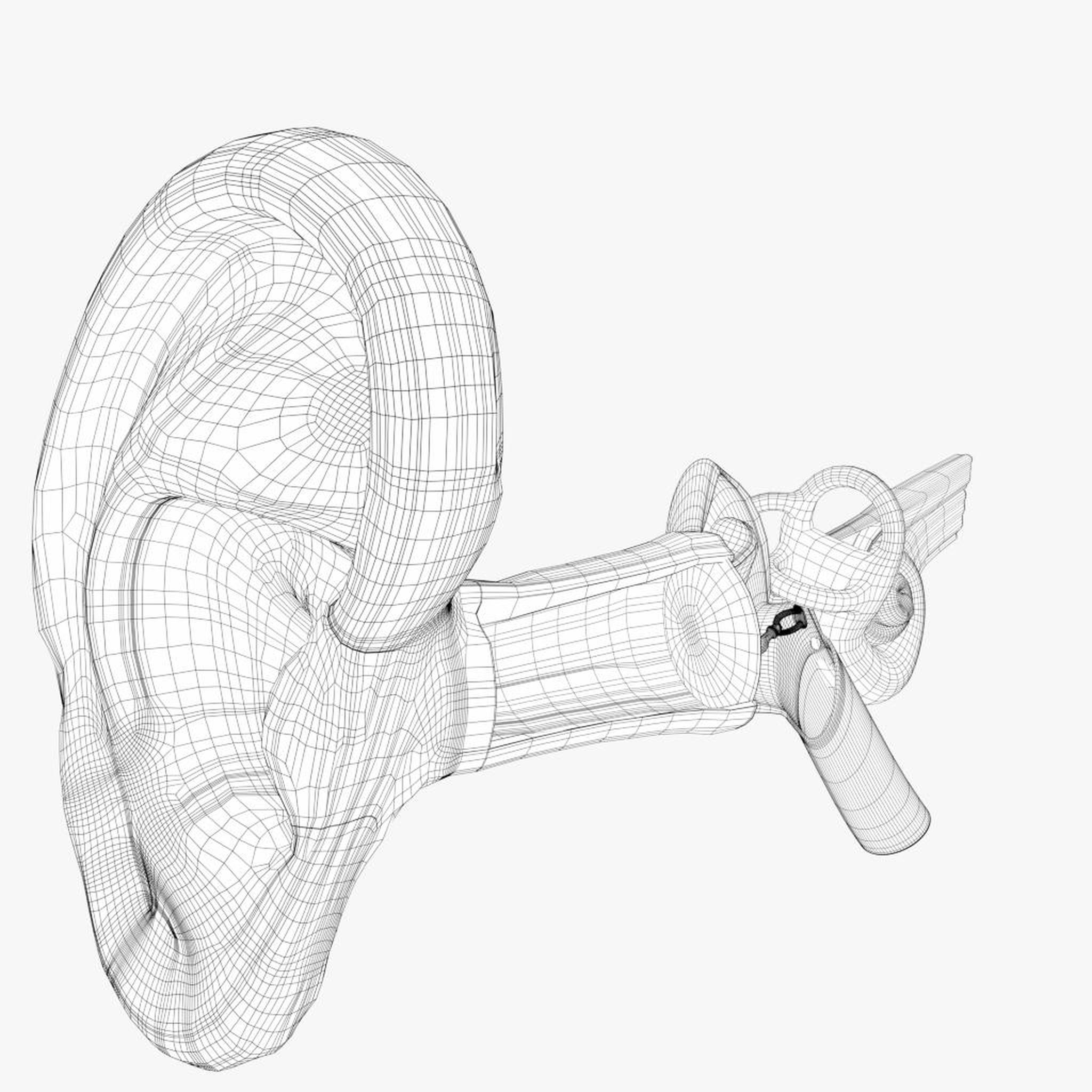 3d pbr uv-textured human ear model