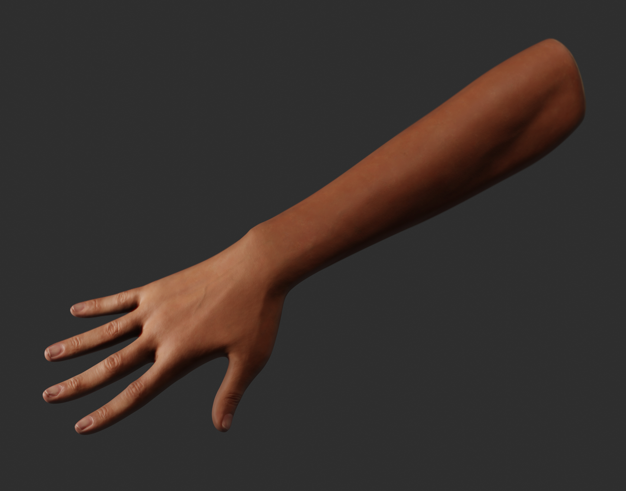 3D hand rigged model - TurboSquid 1595863 3D hand rigged model - TurboSquid 1595863