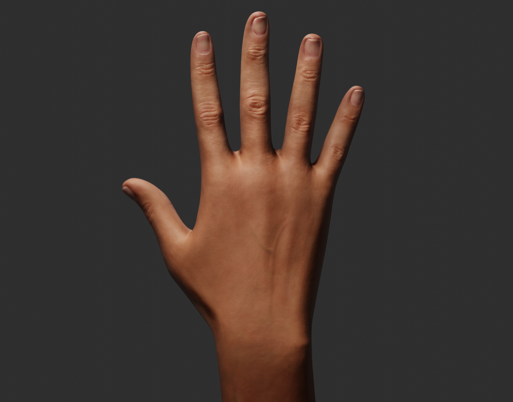 3D hand rigged model - TurboSquid 1595863