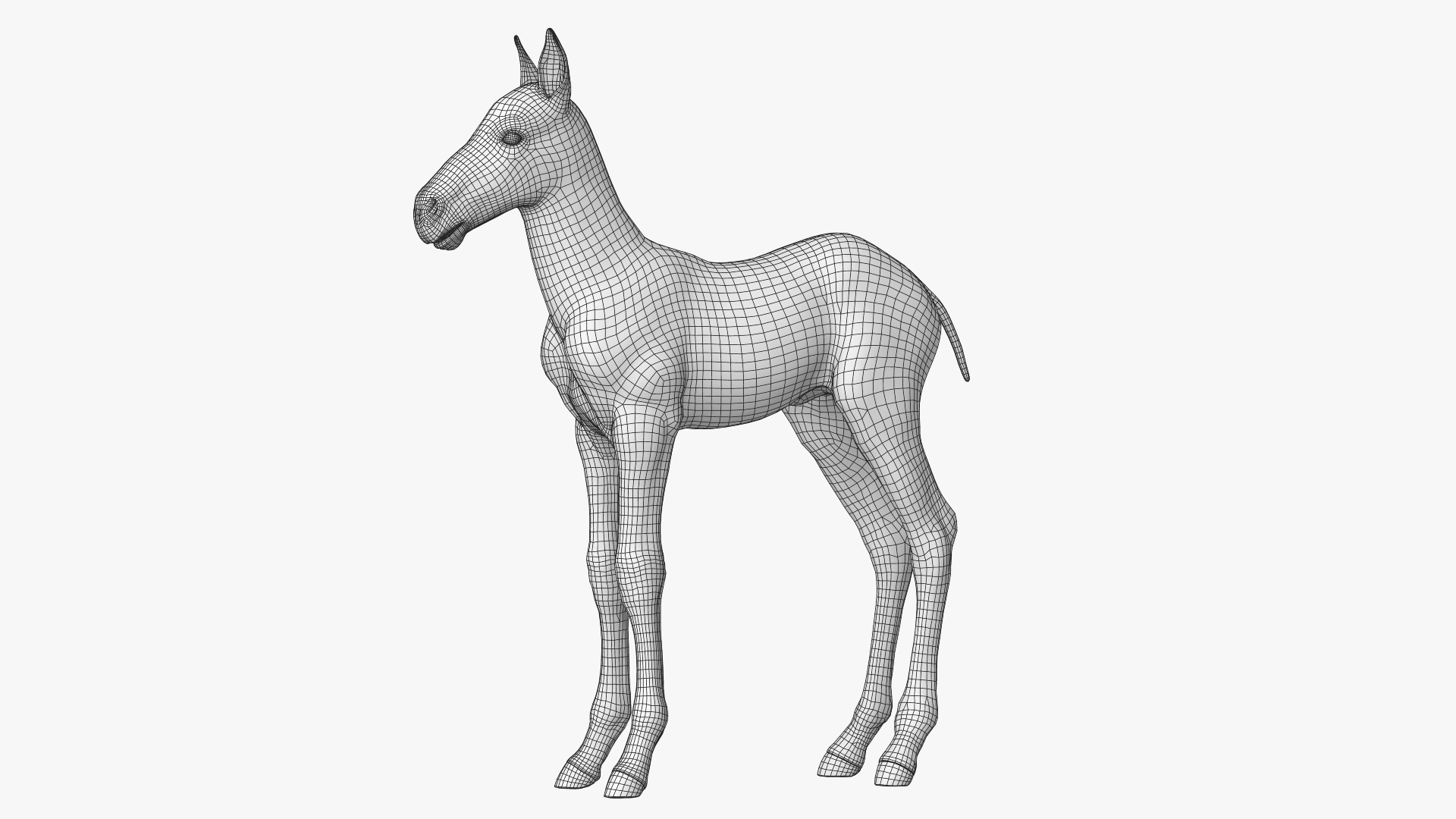 3D realistic horse foal model - TurboSquid 1596056