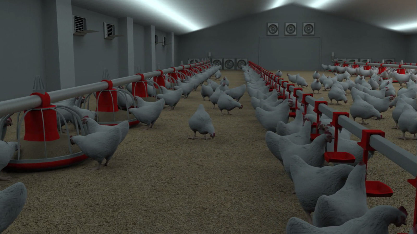 3D chickens poultry farm - TurboSquid 1596380
