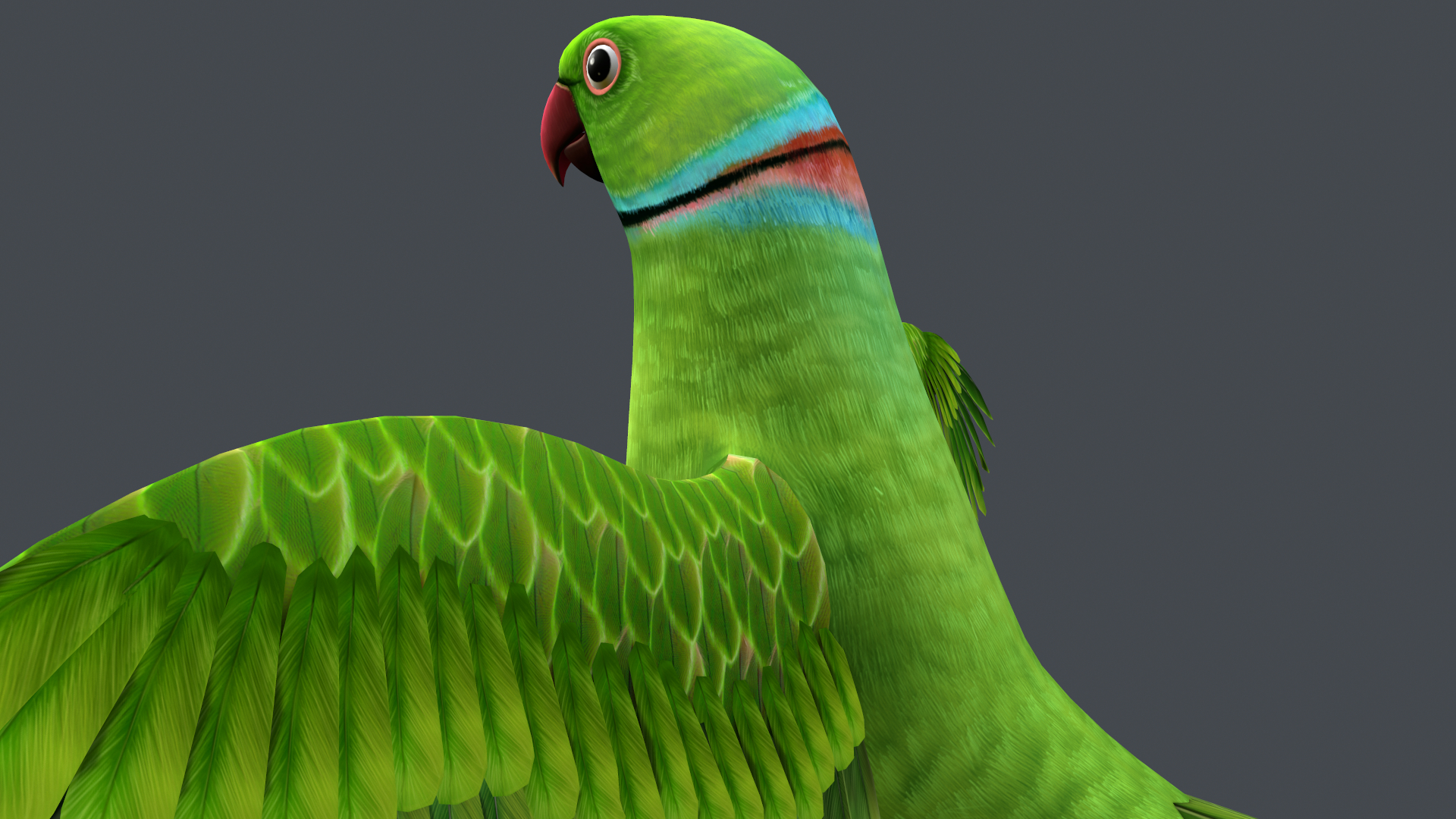 3D model parrot stylized - TurboSquid 1596774