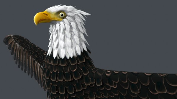 Free 3D Eagle Models | TurboSquid
