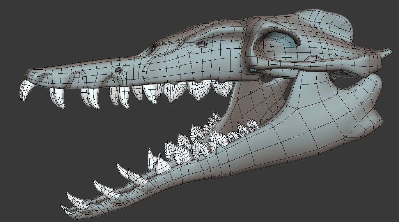 Basilosaurus skull 3D model - TurboSquid 1597162