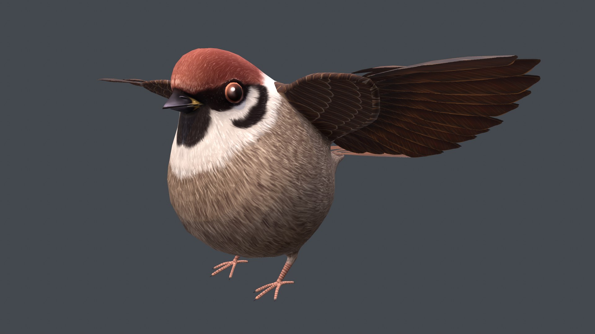 3D sparrow bird nature model - TurboSquid 1597663