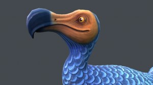 Dodo 3D Models for Download | TurboSquid