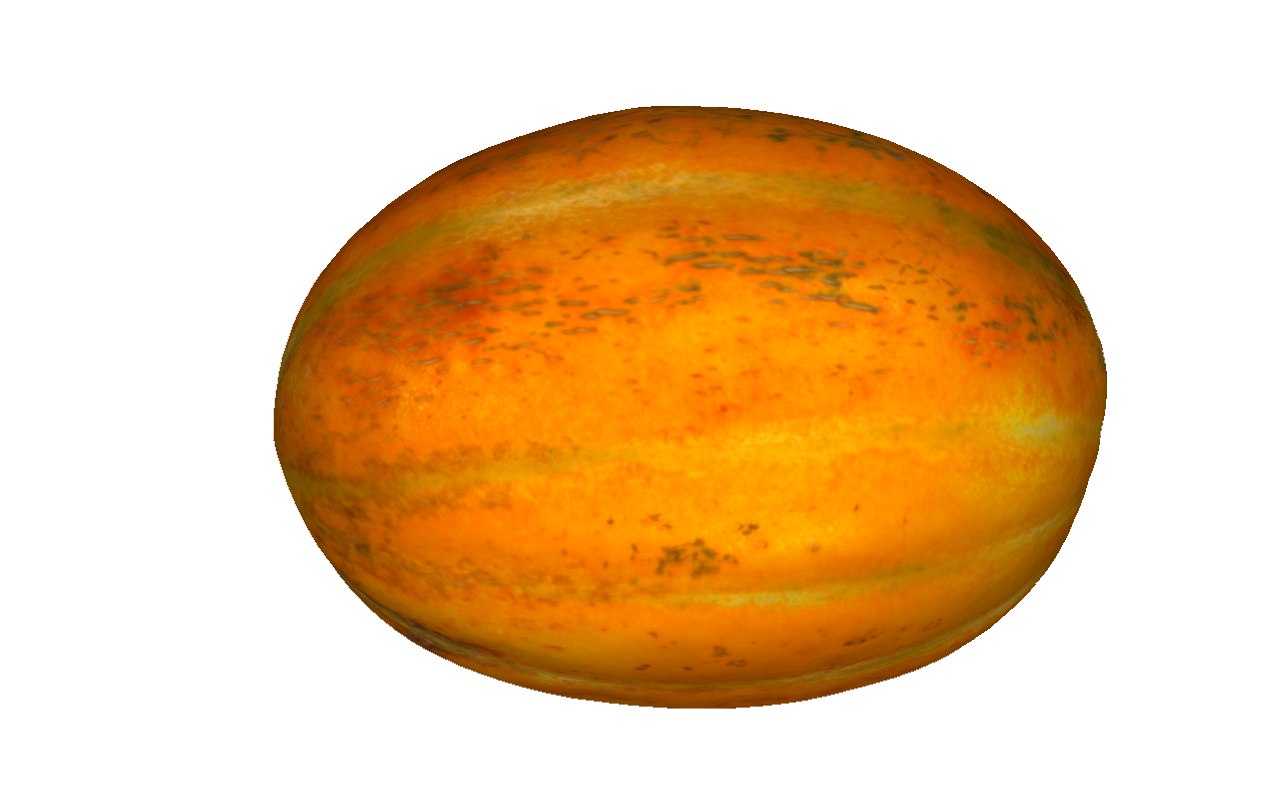 3D melon model - TurboSquid 1597865
