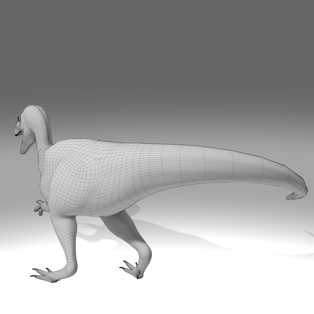 Aratasaurus Museunacionali Fur 3D-Modell - TurboSquid 1597976