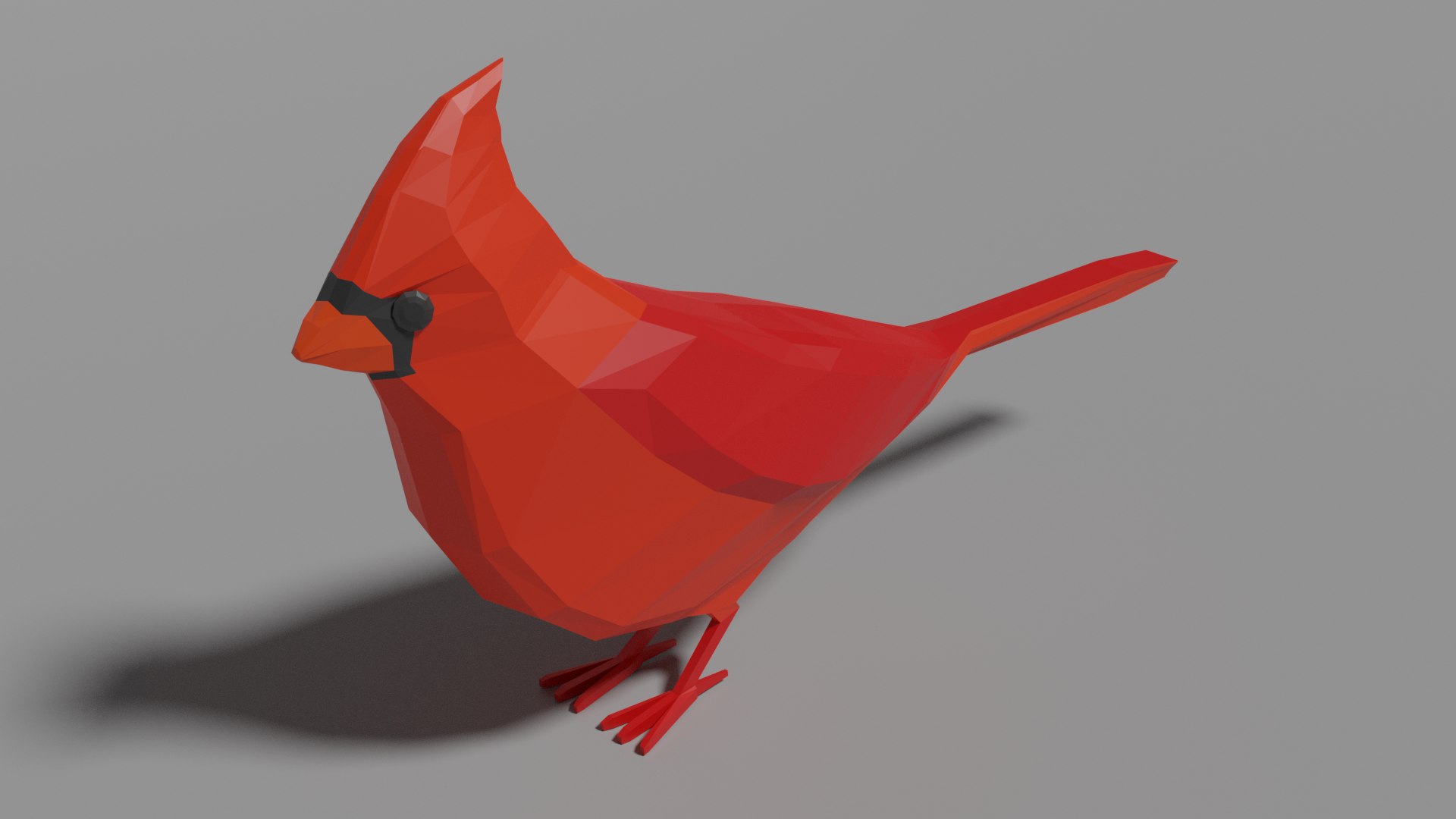 Cardinal 3D - TurboSquid 1598249