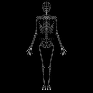 Human Skeleton Blender Models for Download | TurboSquid