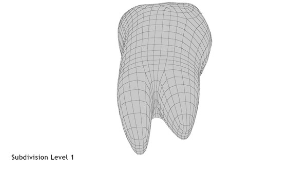 Human teeth lower molar 3D model - TurboSquid 1599239