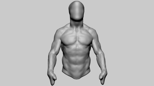 Torso 3D Models for Download | TurboSquid