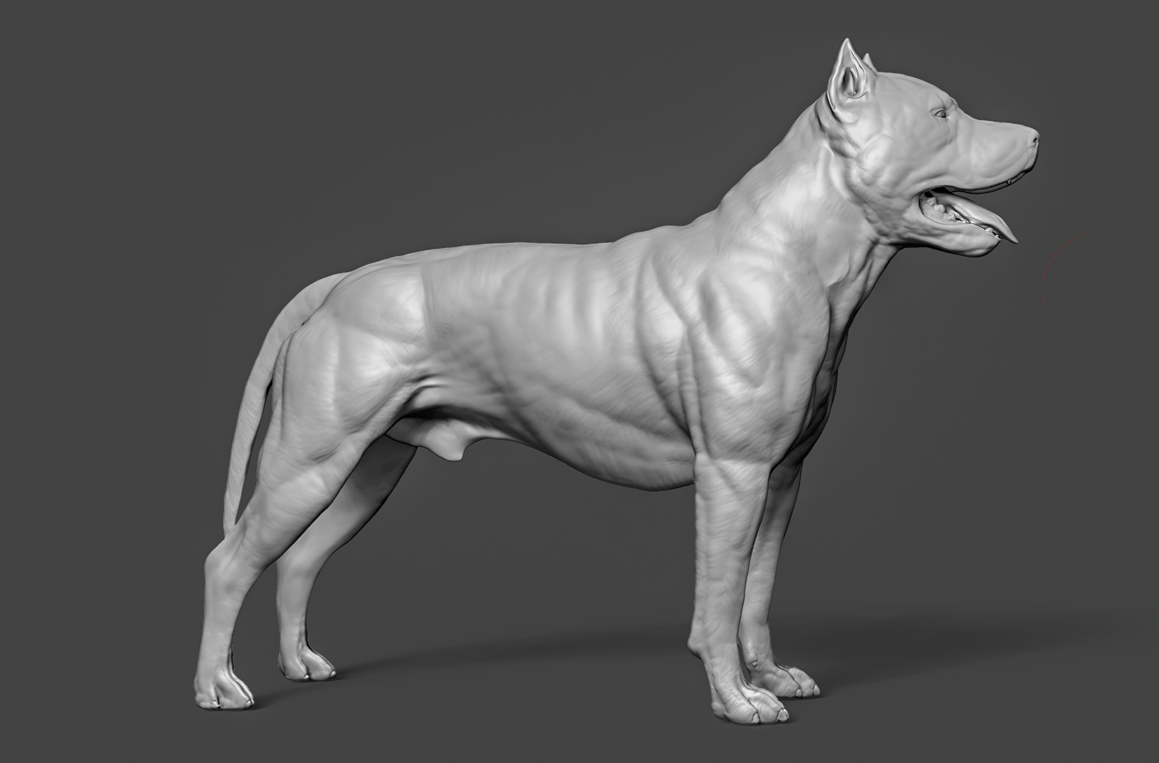 Base dog american pit bull 3D model - TurboSquid 1600643