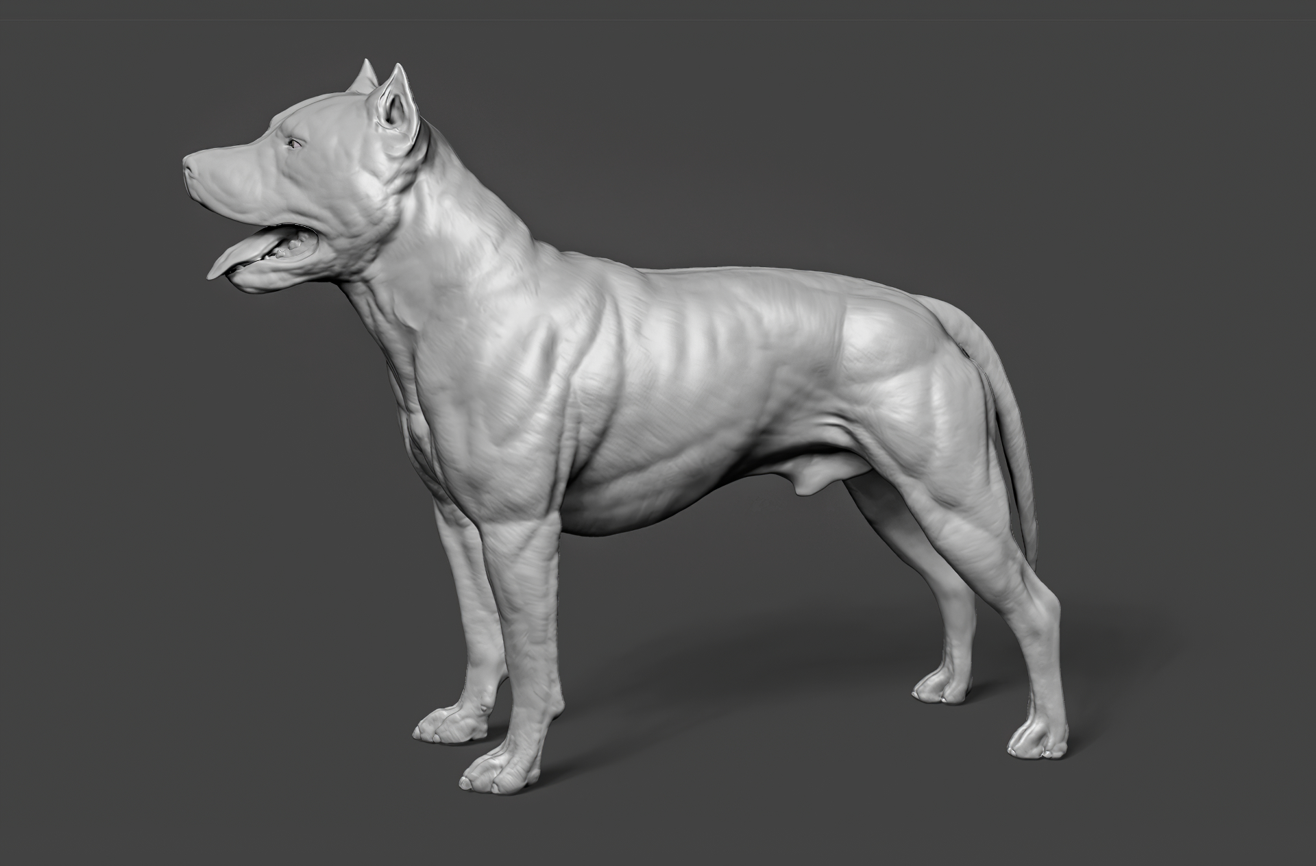 Base dog american pit bull 3D model - TurboSquid 1600643