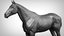 Horse anatomy eqine ecorche 3D model - TurboSquid 1601306