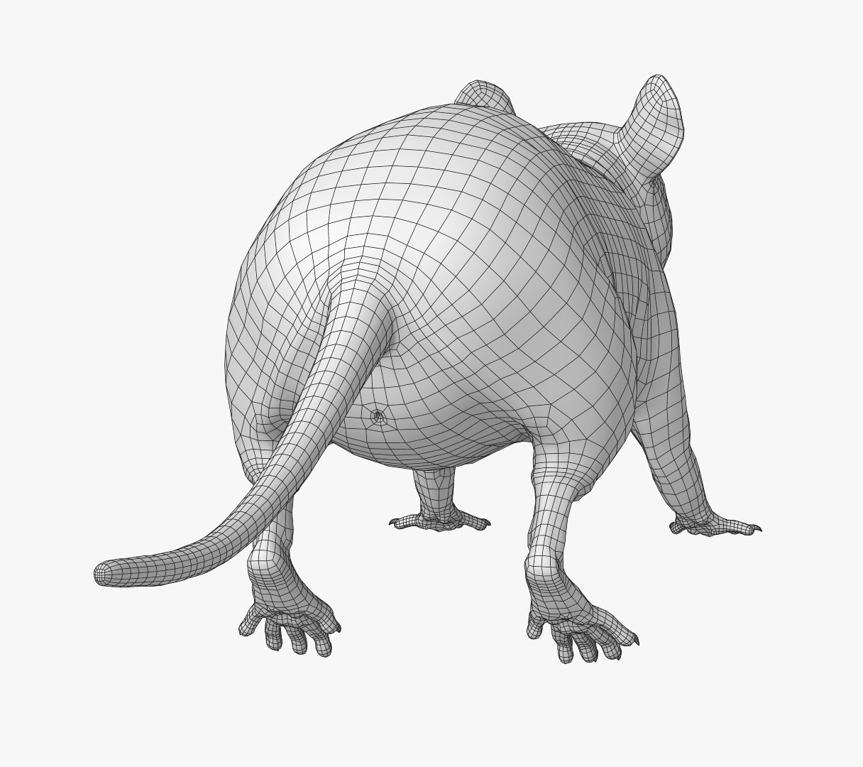 Rat mesh 3D - TurboSquid 1601742