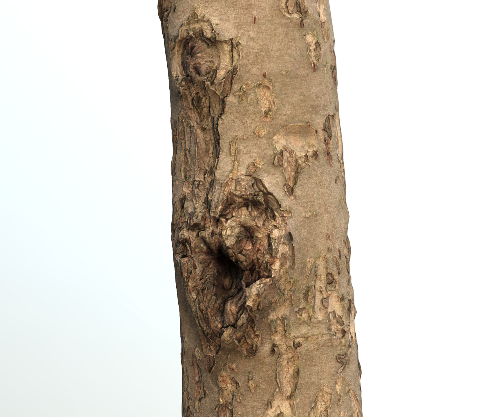 3D tree apple trunk - TurboSquid 1602996