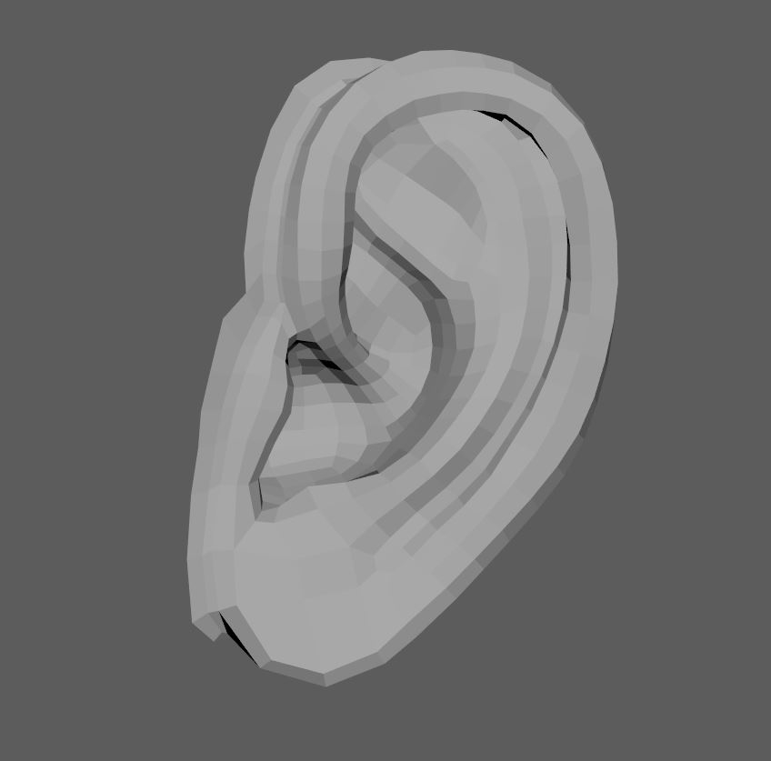 3D model anatomically ear - TurboSquid 1603365