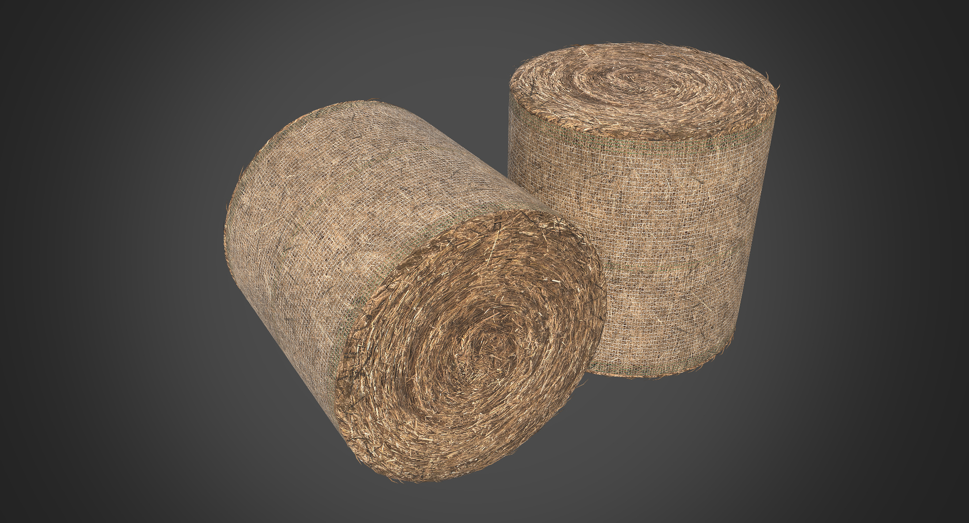 3D model hay bale - TurboSquid 1603475