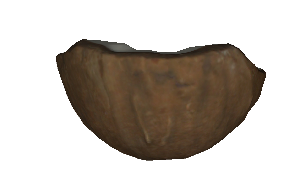 3D half coconut model - TurboSquid 1604099