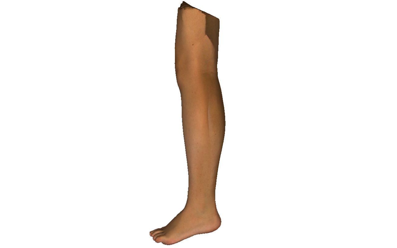 3D leg - TurboSquid 1604799