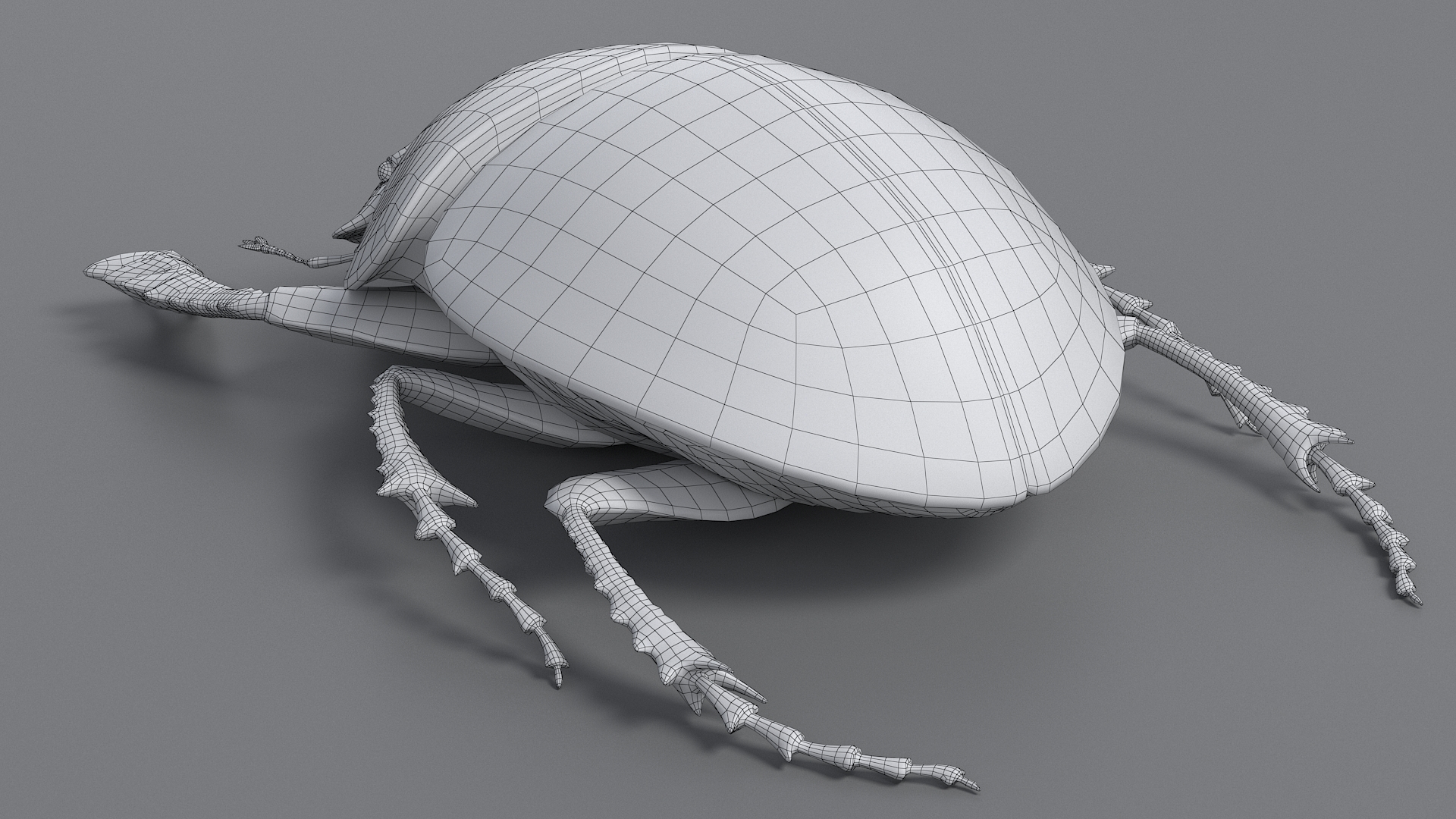 Realistic scarab dung beetle 3D model - TurboSquid 1605179