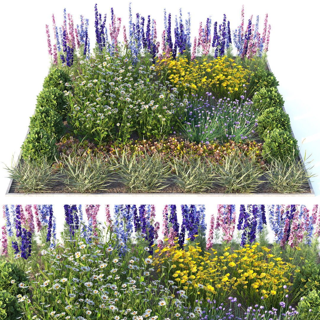 Flowerbed flowers 3D model - TurboSquid 1606390