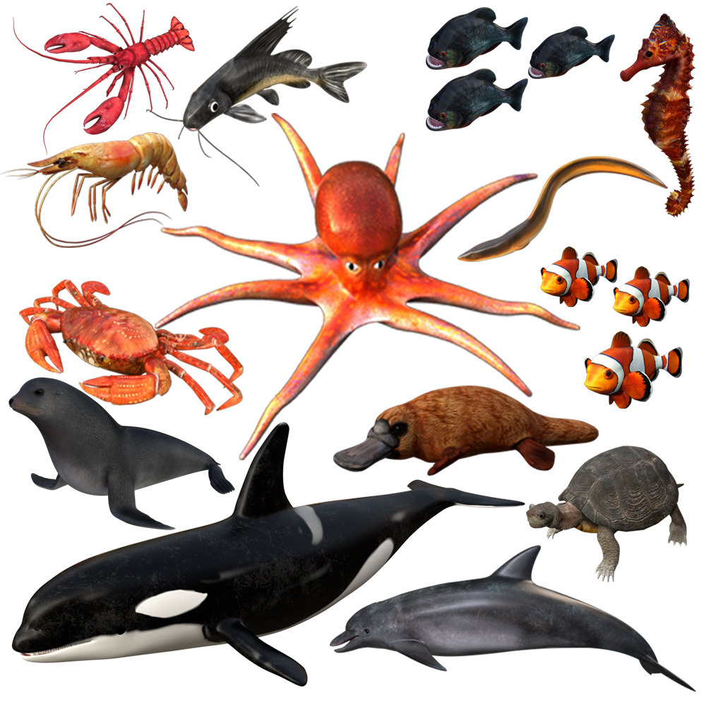 3D aquatic animal water - TurboSquid 1606686