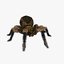 Low Poly Jumping Spider 3D Models for Download | TurboSquid