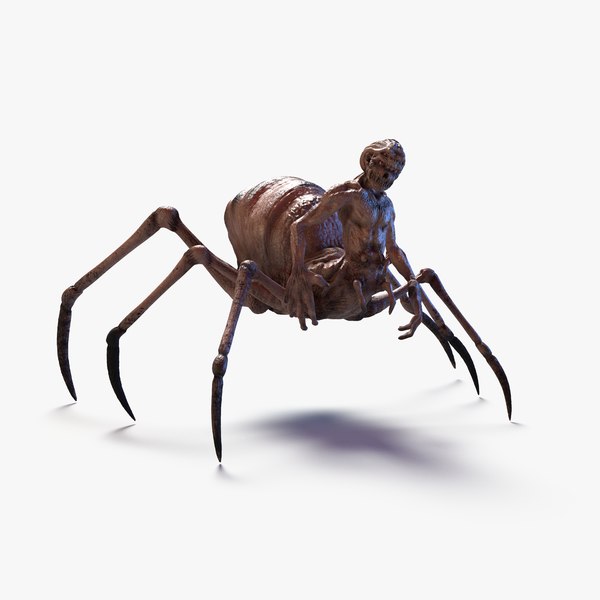 Free 3D Spider Models | TurboSquid