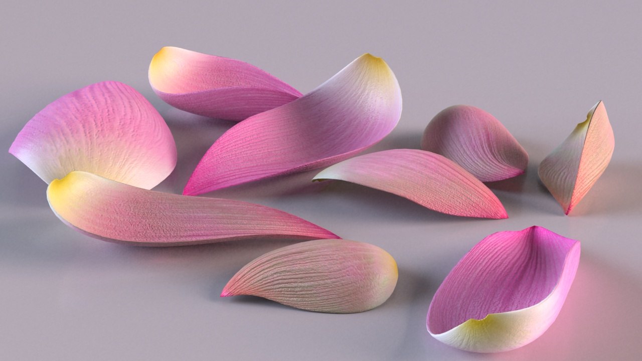 Flower petal plant s 3D - TurboSquid 1604106