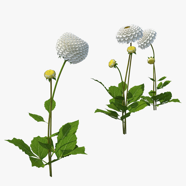 Free Blender Flower Models | TurboSquid